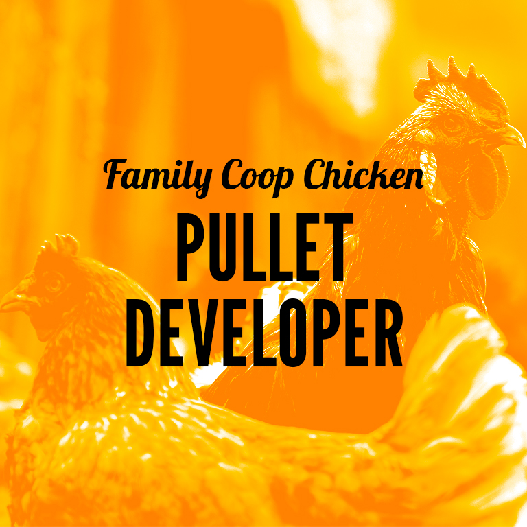 Pullet Developer - NEMO Feed
