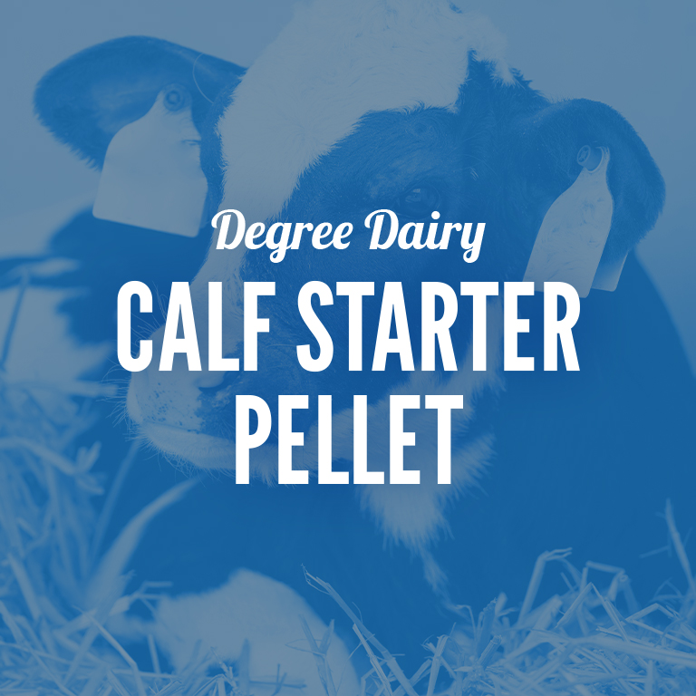Calf Starter Pellet - NEMO Feed