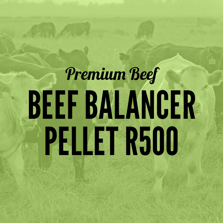 Beef Balancer Pellet R500 - NEMO Feed