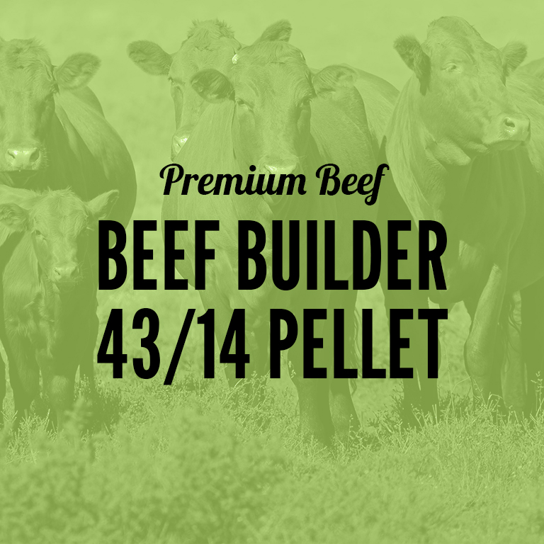 Beef Builder 43/14 Pellet - NEMO Feed