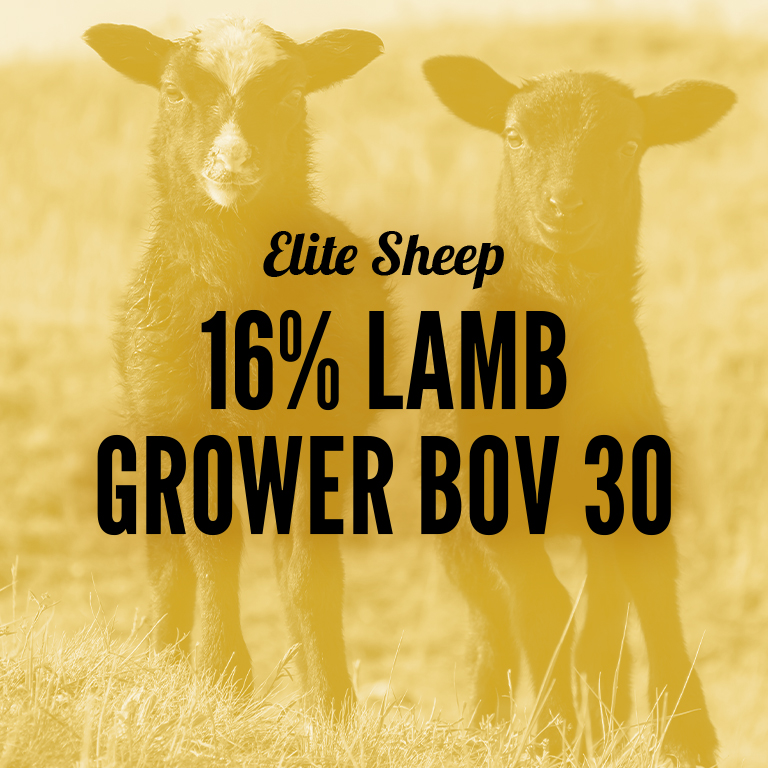 16% Lamb Grower BOV 30 - NEMO Feed