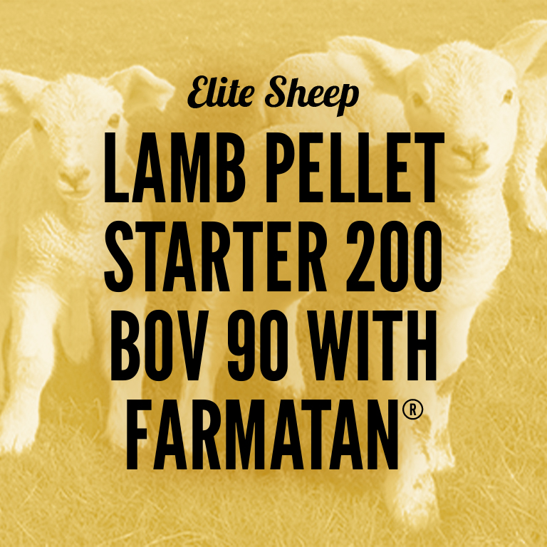 Lamb Pellet Starter 200 BOV 90 With Farmatan - NEMO Feed
