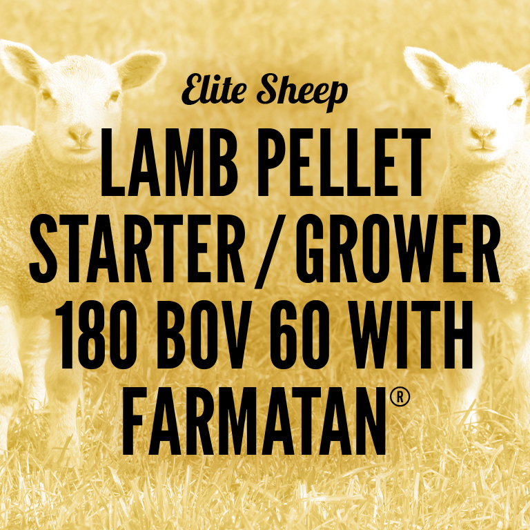 Lamb Pellet Starter / Grower 180 BOV 60 With Farmatan - NEMO Feed