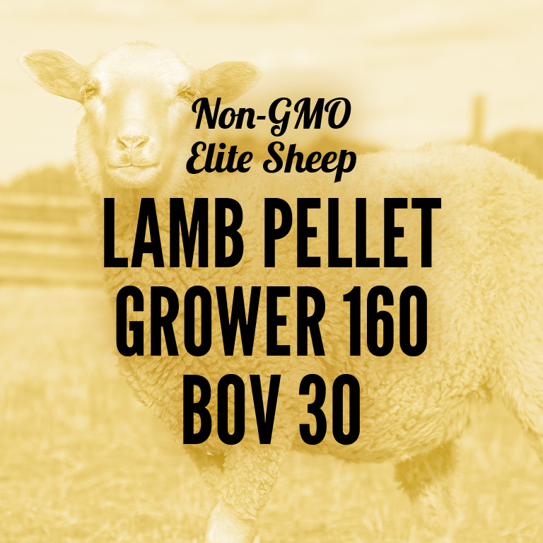 Non-GMO Lamb Pellet Grower 160 BOV 30 - NEMO Feed